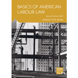 Basics of American Labour Law - Ceneje.si