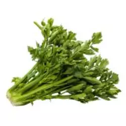 ZELENA STEBELNA, 1KG - Ceneje.si