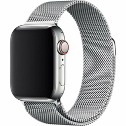 eses elegantan remen za apple watch 1530000001, 42 mm, srebrni ...
