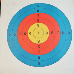 Meta za strijele 60x60cm - Jeftinije.hr