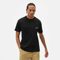 Dickies Quamba Box Tee DK0A4X9JBLK - Ceneje.si