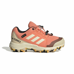 adidas Terrex Gtx K - Ceneje.si