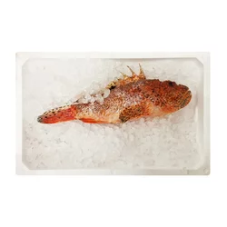 Škarpena, očiščena, 1-2 kg, sveža - Ceneje.si