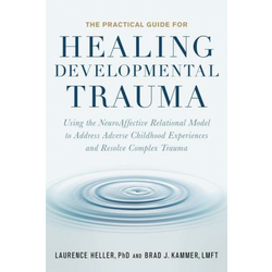 Practical Guide for Healing Developmental Trauma - Ceneje.si
