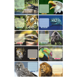 ETIKETA ŠOLSKA 10/1 PIGNA ANIMALS WILD - Ceneje.si