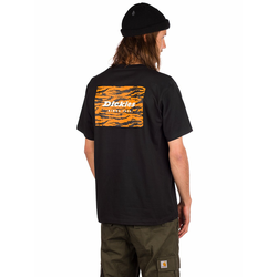 Dickies Quamba Box Tee DK0A4X9JBLK - Jeftinije.hr