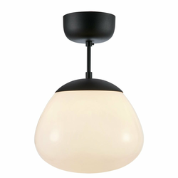 Crno-bijelo stropno svjetlo sa staklenim sjenilom o 25 cm Rise ...