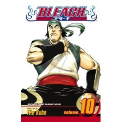 Bleach, Vol. 10 - Jeftinije.hr
