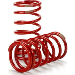 Traxxas opruga amortizera GTR krutost 4,1N / mm siva (2) - Jeftinije.hr