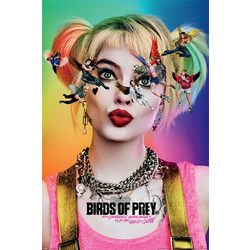 Poster Birds of Pray - DC STRIPOVI - PYRAMID POSTERS - PP34590 ...