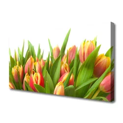 tulup.si Slika na platnu Tulipani cvetovi rastlin 125x50 cm - Ceneje.si
