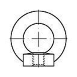 TOOLCRAFT Prsten matica M20 DIN 582 čelik, galvansko pocinčani 1 kom ...