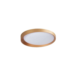 LED Stropna svjetiljka ADEL LED/40W/230V - Jeftinije.hr