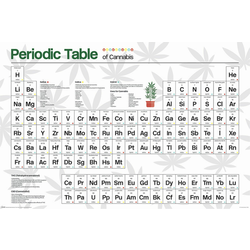 Maxi posterPyramid Educational: Chemistry - Table of Cannabis ...