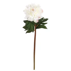 Shishi Bela potonika 72 cm - Ceneje.si