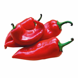 Paprika rog crvena - Jeftinije.hr