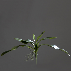 List orhideje 50 cm - Ceneje.si