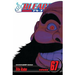 Bleach vol. 67 - Jeftinije.hr