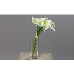 Buket Kala 33 cm - Jeftinije.hr