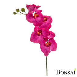 Orhideja veja 80 cm roza - 76 do 100 cm - Ceneje.si
