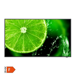 NEC MultiSync E658 165,1 cm (65") IPS 350 cd/m2 4K Ultra HD Crno 16/7 ...