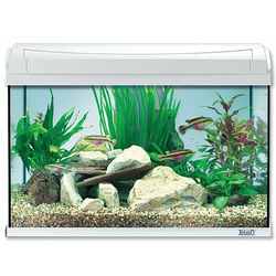 TETRA akvarij AquaArt, bel, 60l - Ceneje.si