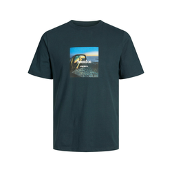 JACK & JONES Majica ''DALSTON'', svijetloplava / žuta / tamno zelena ...