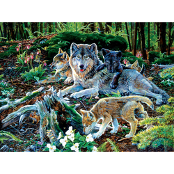 Sunsout - Puzzle Obitelj šumski vuk - 500 dijelova - Jeftinije.hr