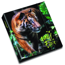 AKTA, MAPA Z MEHANIKO A4, EGO-TIGER, OBR., 13,194 - Ceneje.si