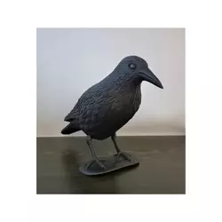 Vrana za plašenje ptica - Jeftinije.hr