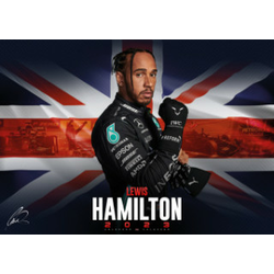 Lewis Hamilton 2023 - Jeftinije.hr