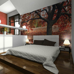 Foto tapeta - Tree in fall 400x309 - Jeftinije.hr