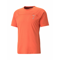 PUMA Tehnička sportska majica ''SEASONS'', siva / losos - Jeftinije.hr