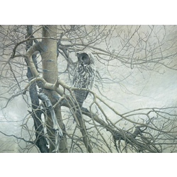 Puzzle Cobble Hill od 1000 dijelova - Duh Sjevera, Robert Bateman ...