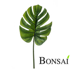 Monstera list 72 - zelena - 50 do 75 cm - Ceneje.si